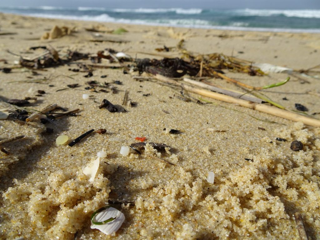 Sea Based Solutions - Nurdle Hunt Hub